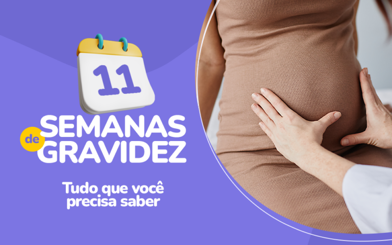 Tudo Que Você Precisa Saber Nas 11 Semanas De Gravidez