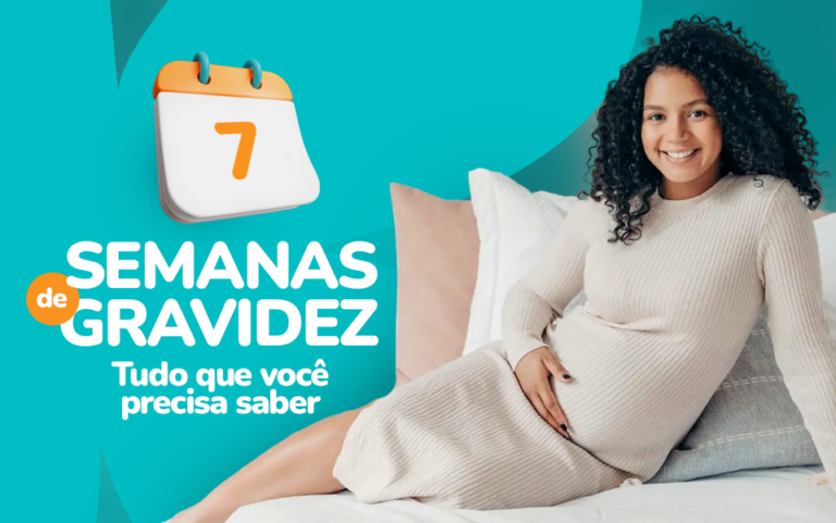 Tudo Que Você Precisa Saber Nas 7 Semanas De Gravidez